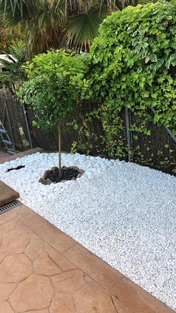 Canto rodado blanco especial 25-40mm 1000kg